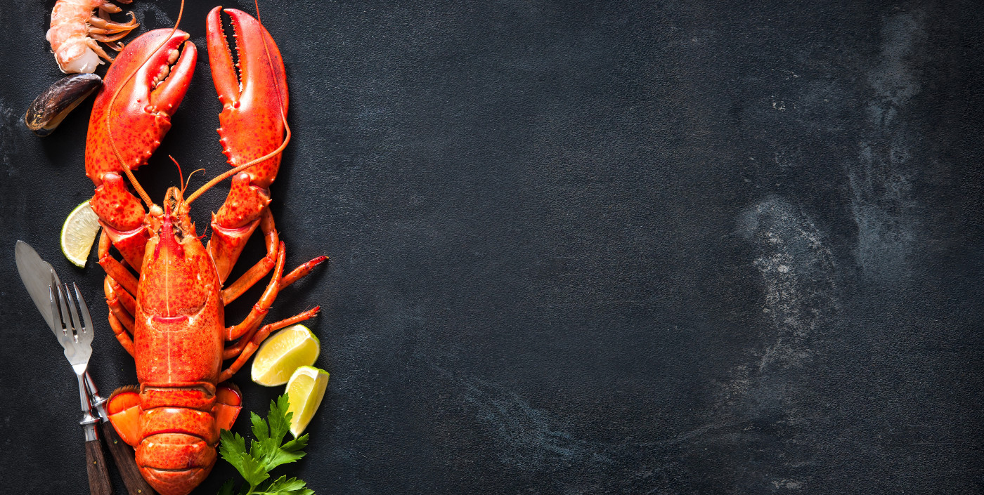 Signature Dish | Wij vertellen uw verhaal voor op social media